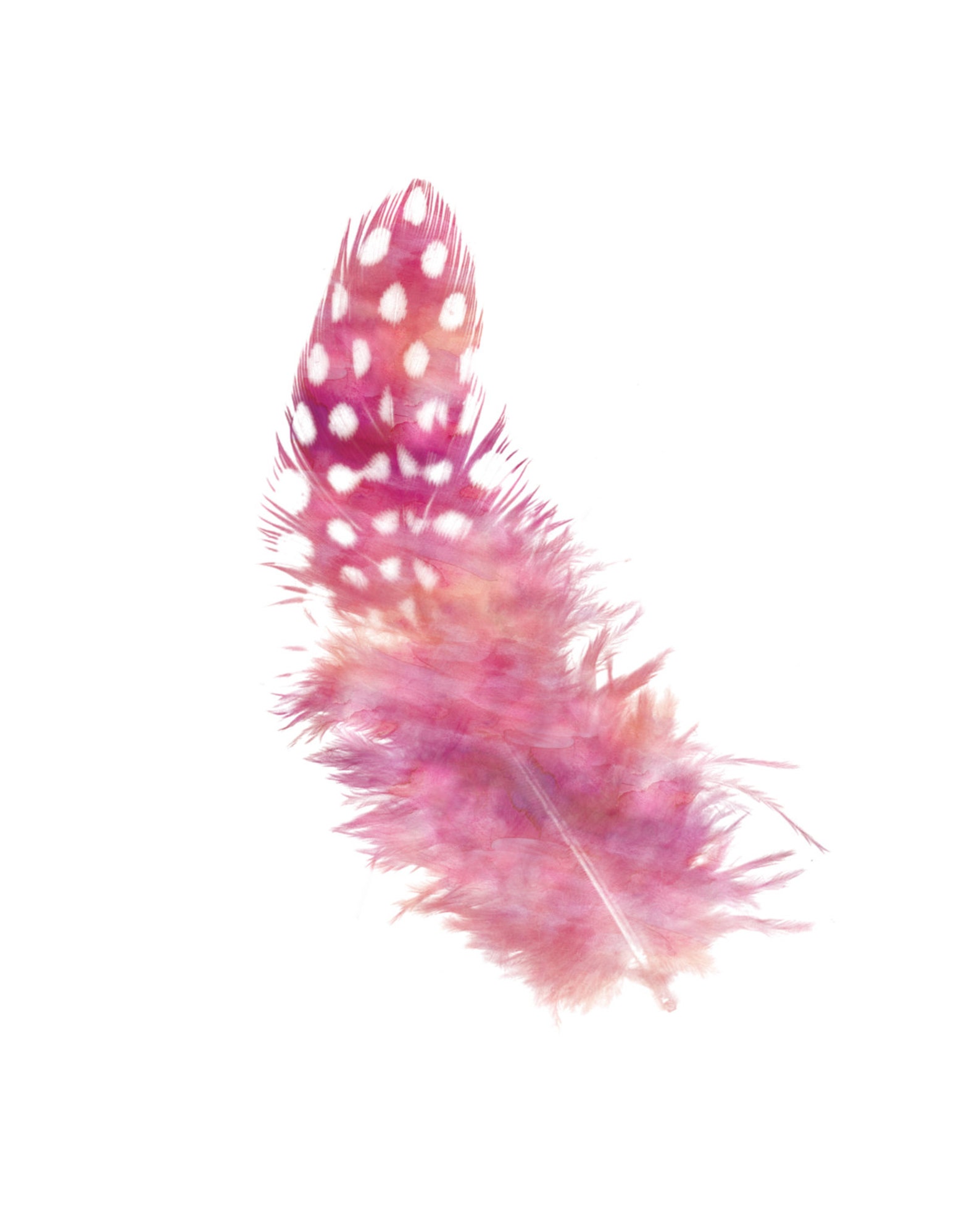 Pink Feather Print Set, Watercolor Nursery Wall Art (digital Download ...