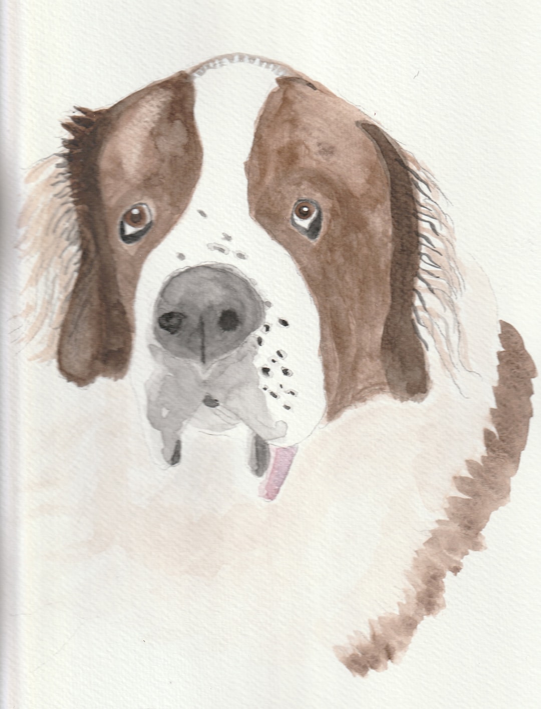 For Charity STFBR a Watercolor Done of Zeus a Rescue. the Proceeds of ...