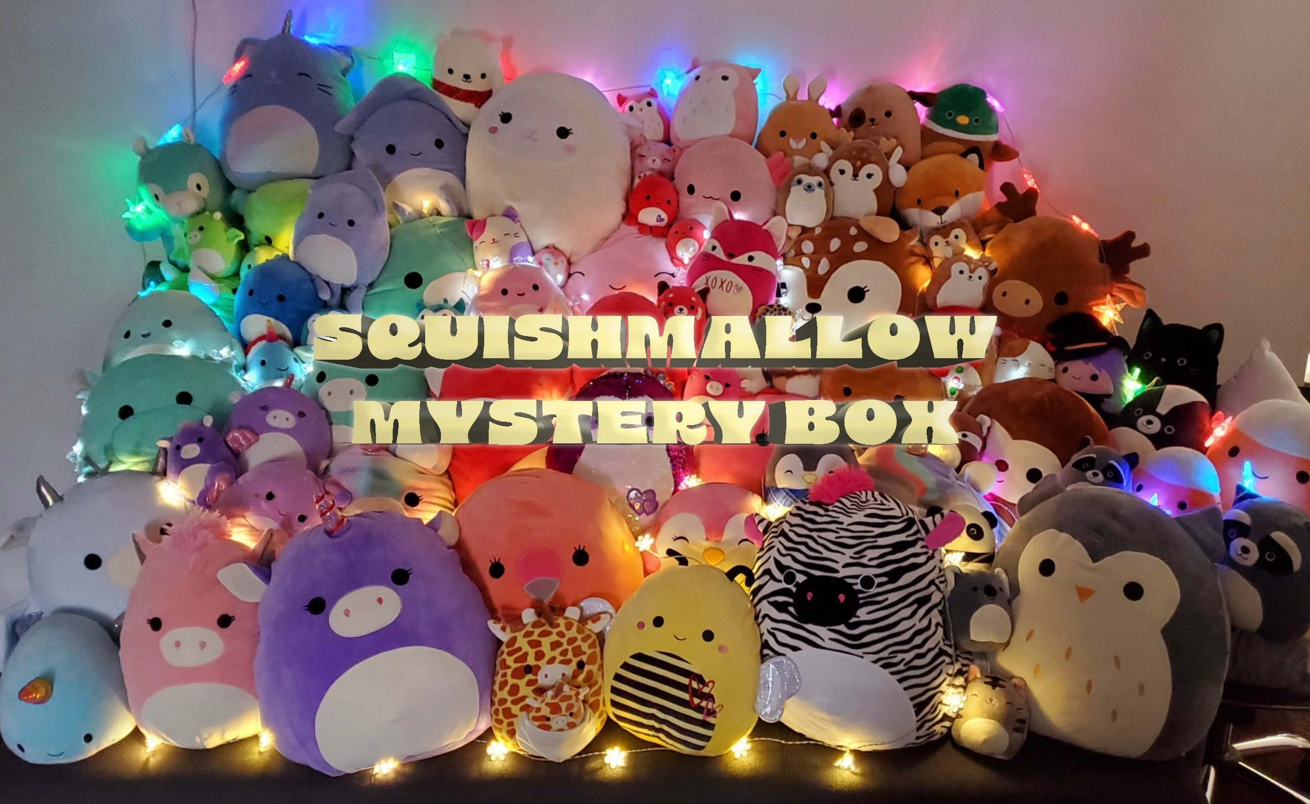 SQUISHMALLOW MYSTERY BOXES - Etsy