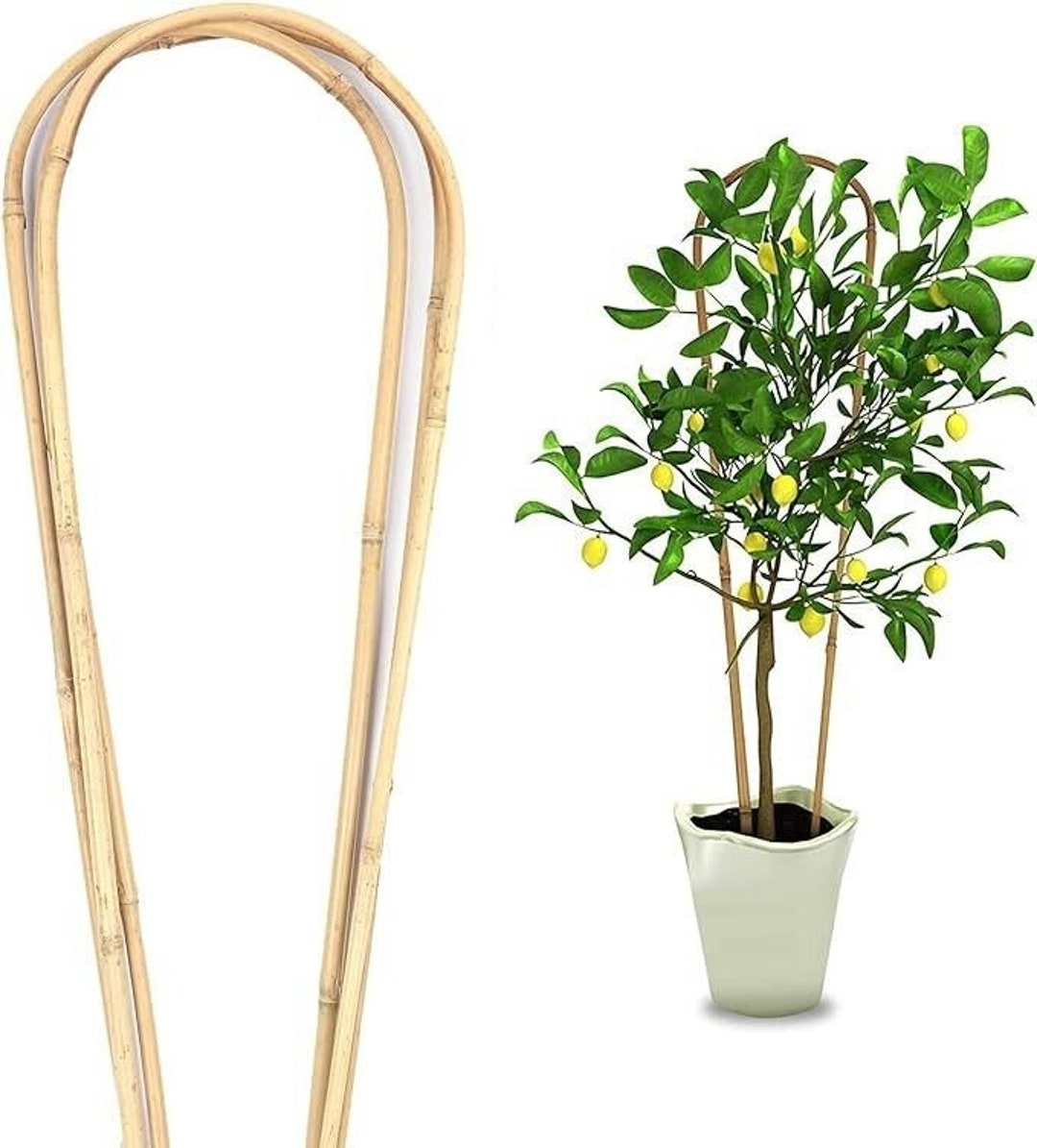 NEW 3 Ft Natural U-hoops Bamboo Garden Trellis Bamboo Trellis U-shape ...