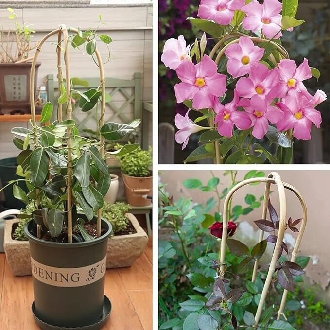 3 Ft Bamboo Plant Trellis, U-hoop Garden Vine Support - Etsy
