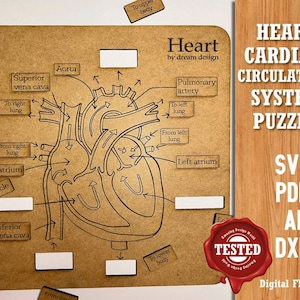 Heart and Circulatory System Learning Puzzle Design Vector Files SVG ...