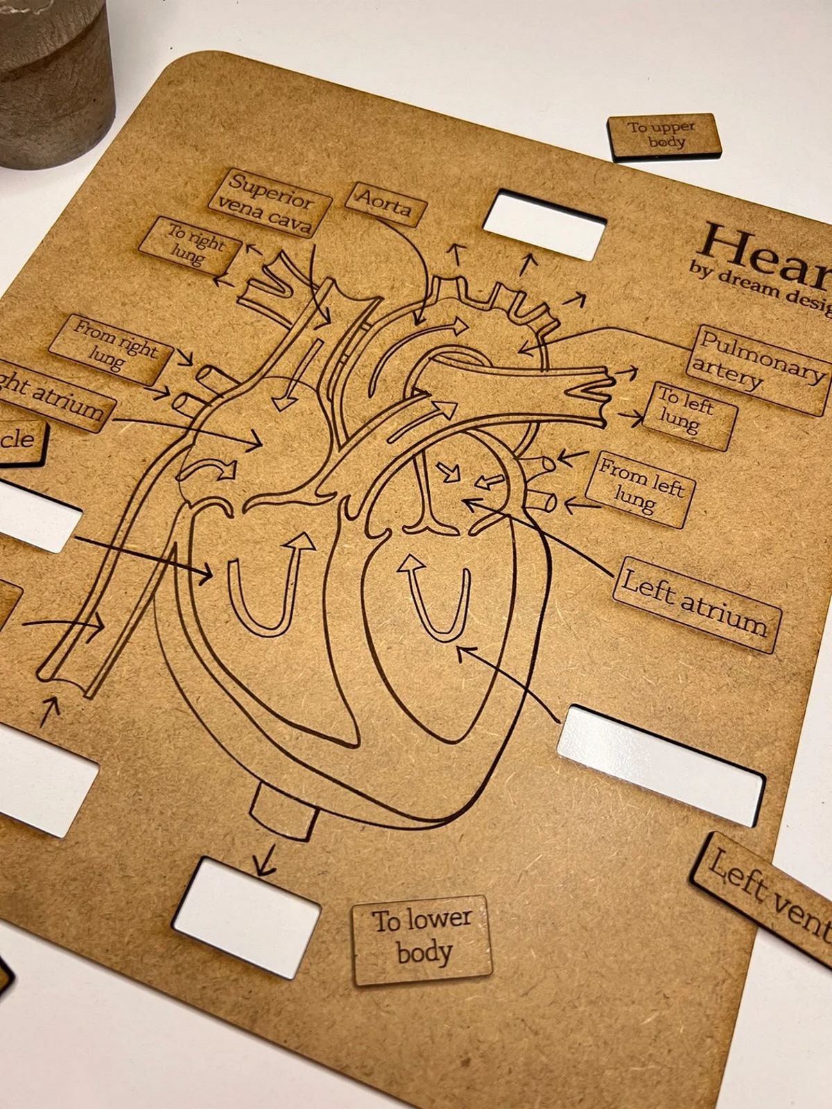 Heart and Circulatory System Learning Puzzle Design Vector Files SVG ...