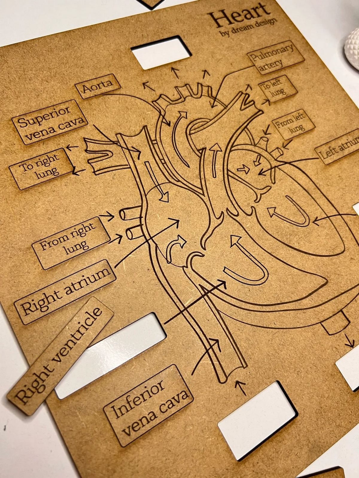 Heart and Circulatory System Learning Puzzle Design Vector Files SVG ...