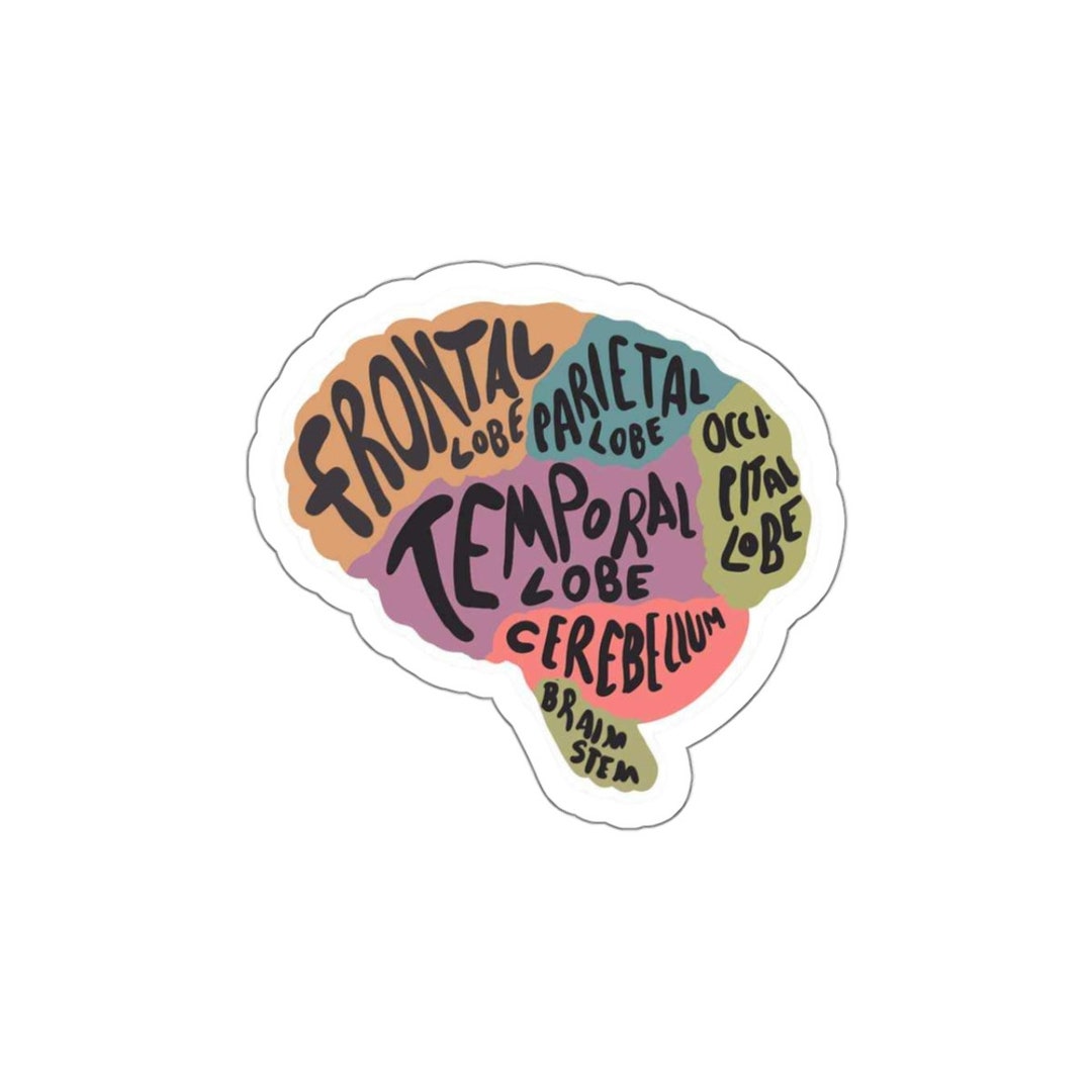 Anatomy Sticker, Anatomy Stickers, Sticker Anatomy, Human Anatomy ...