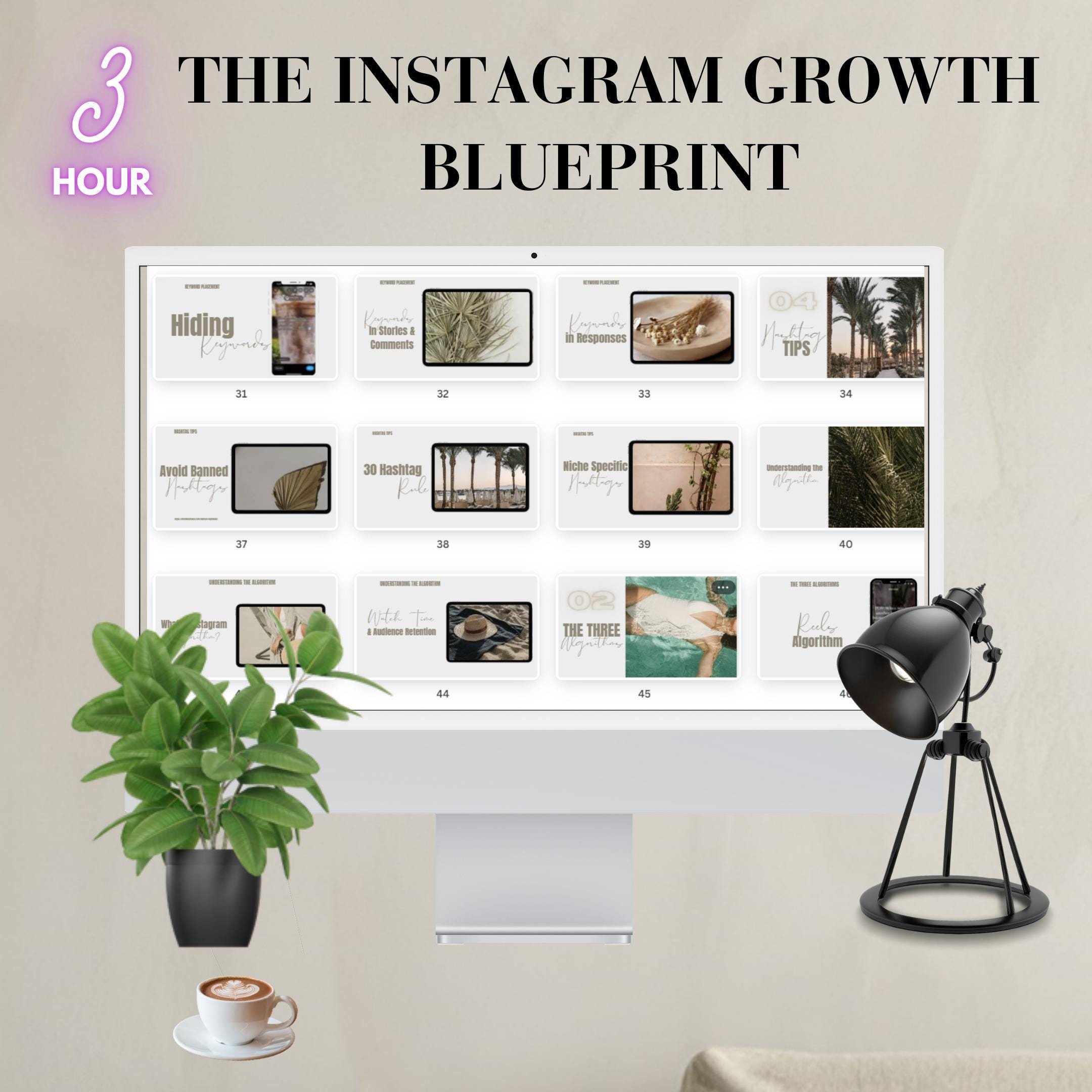 The Instagram Growth Blueprint | MRR Course | Strategy Guide With Master Resell Rights | Private ...