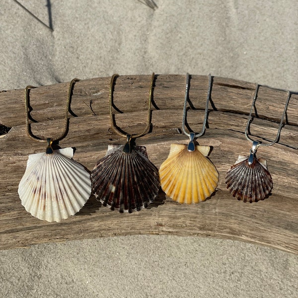 Scallop Shell Necklace - Etsy