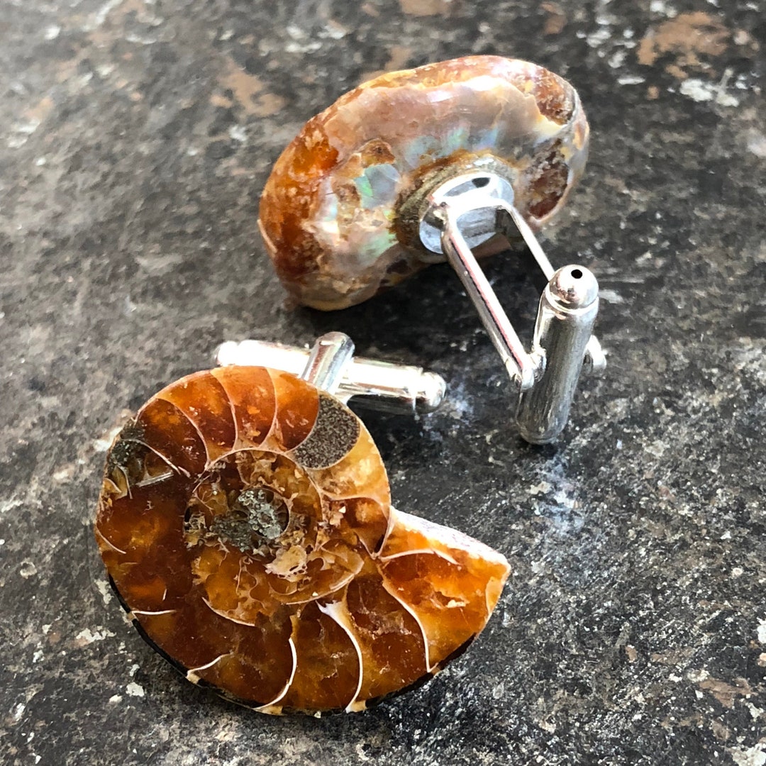 Ammonite Fossil Cufflinks. Golden Ratio Men's Cufflinks. - Etsy