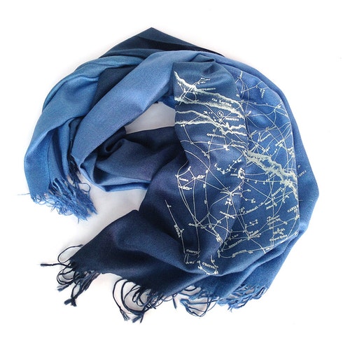 Insect Scarf Bugs Entomology Pashmina. Science Teacher Gift | Etsy