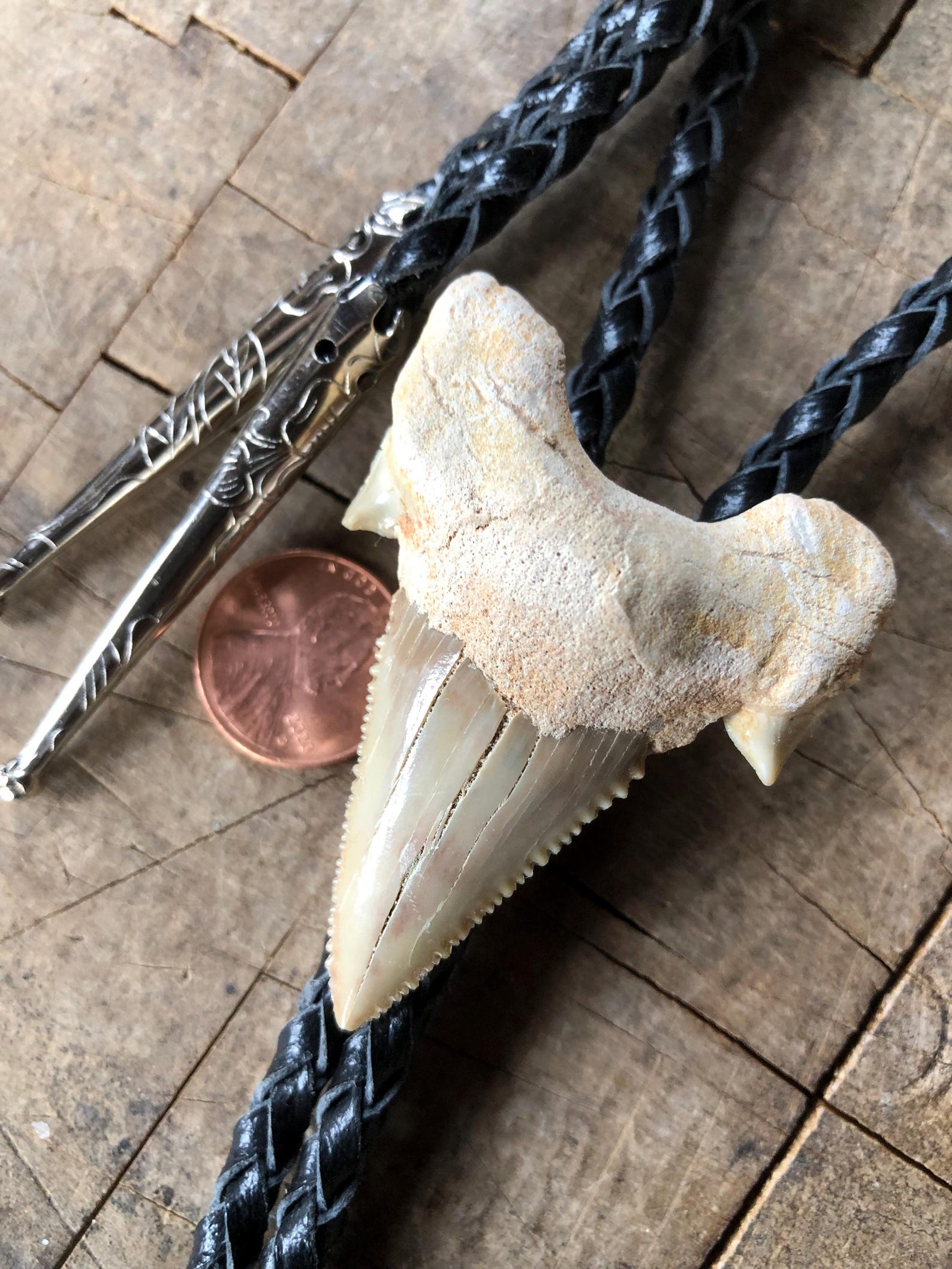 Fossil Shark Tooth Bolo Tie. Western Tie, Unique Bolo Tie, Gift for ...