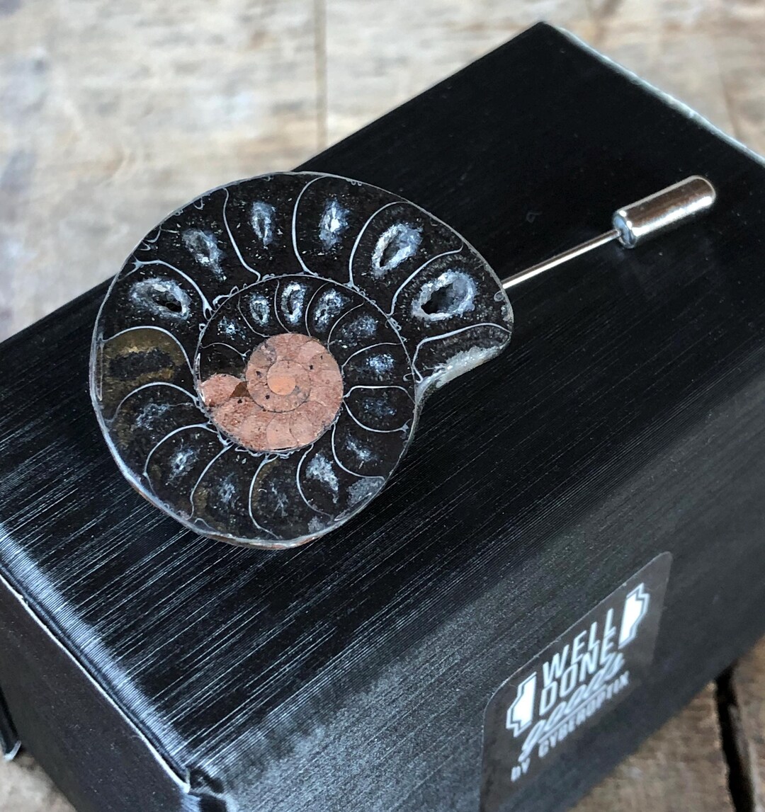Ammonite Fossil Stick Pin, Black Stone Lapel Pin, Hat Pin. Gift for ...