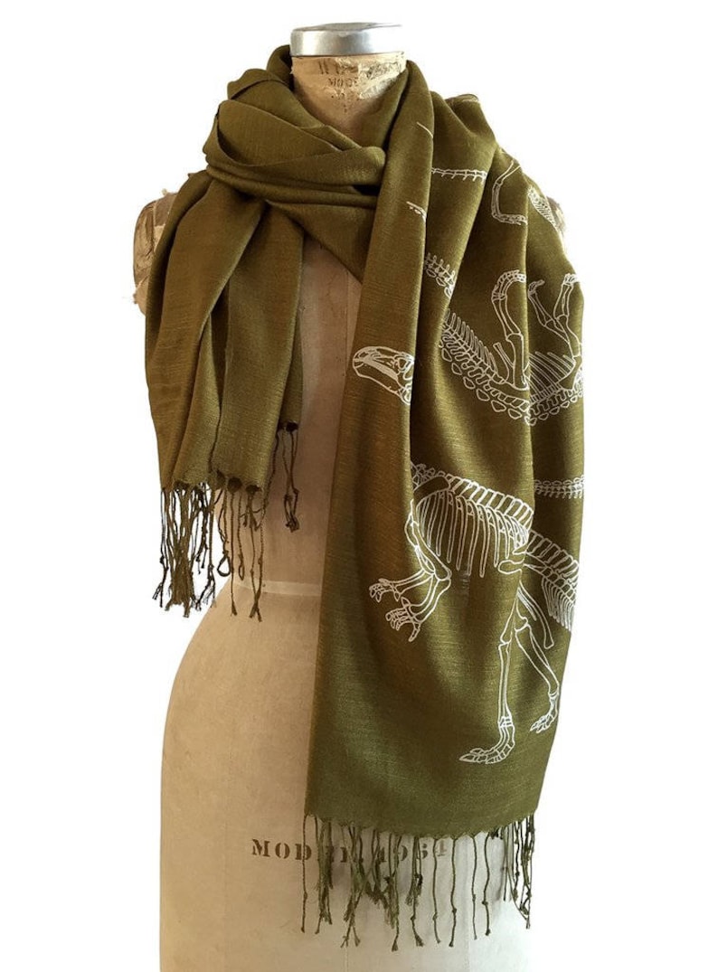Dinosaur Bones Scarf. Paleontology, Bamboo Pashmina Scarf. Science ...