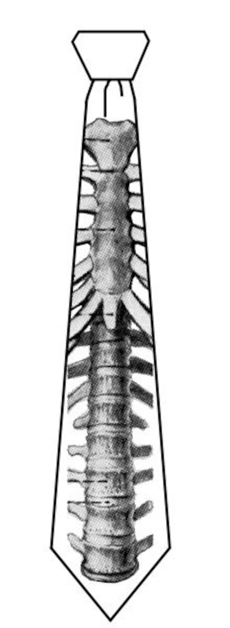 Spine X-ray Necktie. Chiropractor Gift, Radiology Gifts. Backbone Men's ...