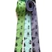 Insect Necktie. Buggy Code, Geek Gift, Entomology, Pest Control. Bug ...