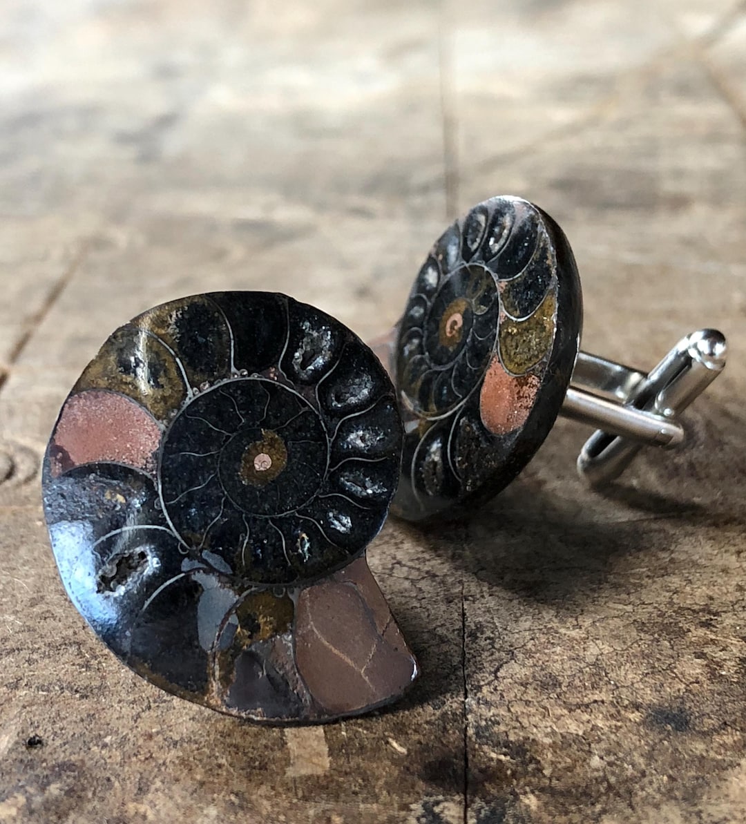 Black Ammonite Cufflinks. RARE Fossil Collector Gift, Rockhound Gift ...