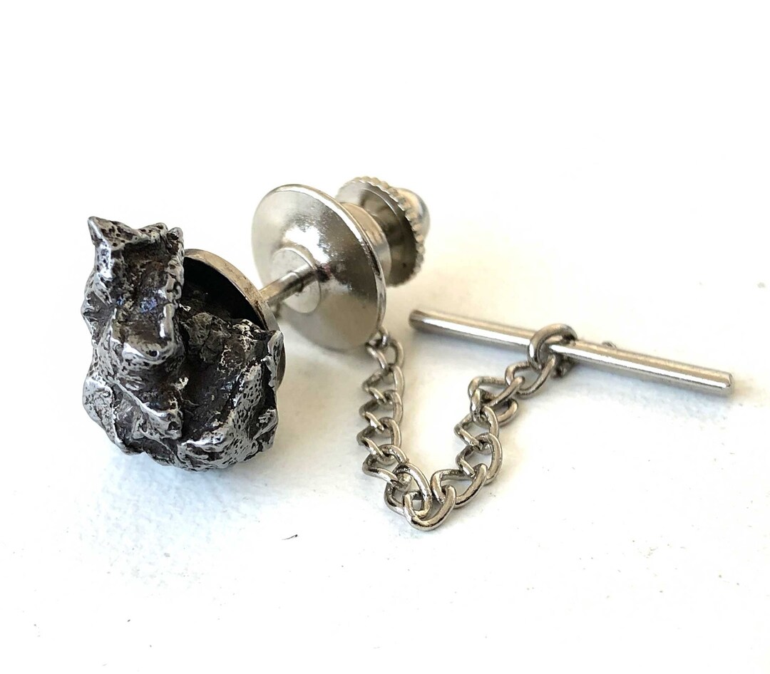 Meteorite Tie Tack. Campo Del Cielo, Irony Meteorite Tie Pin. Space ...