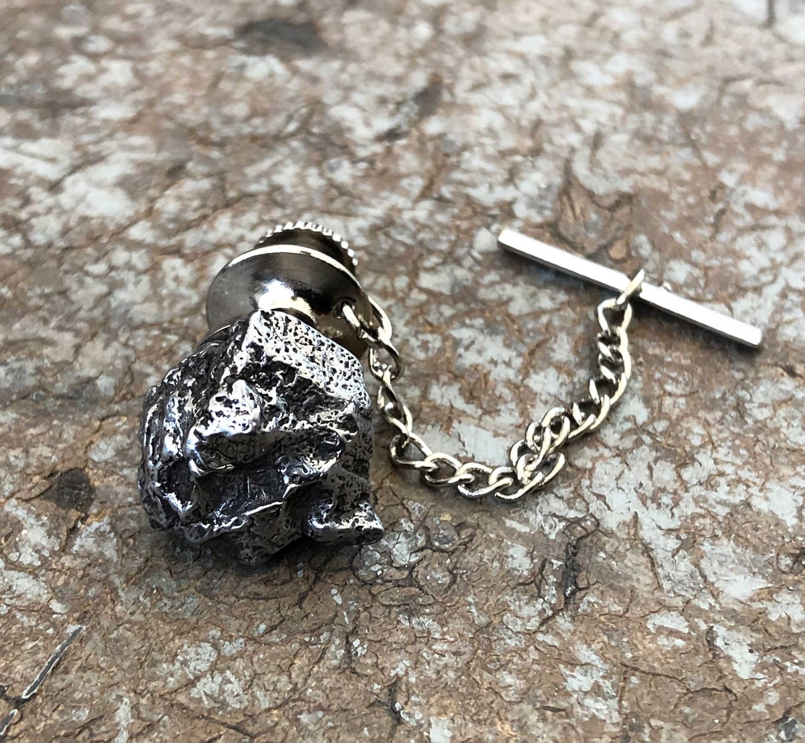 Meteorite Tie Tack. Campo Del Cielo, Irony Meteorite Tie Pin. Space ...