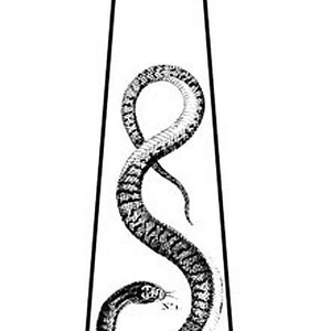 Snake Necktie. Reptile Tie Snake Tie Men's Necktie. Zoology Herpetology ...