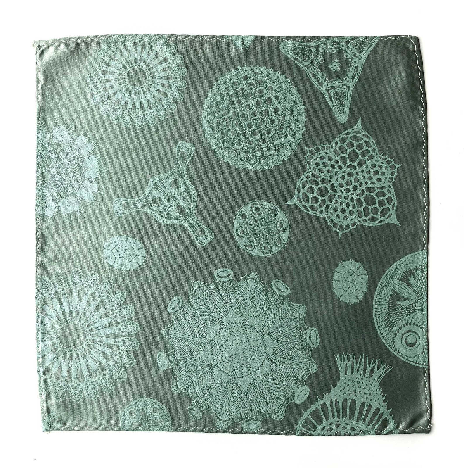 Diatom Pocket Square, Diatoms Botanical Print Hanky. Nerd Wedding ...
