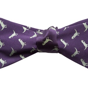 T-rex Bow Tie. Archeologist Gift. Tiny Dinosaur Bow Tie T-rex Tie ...