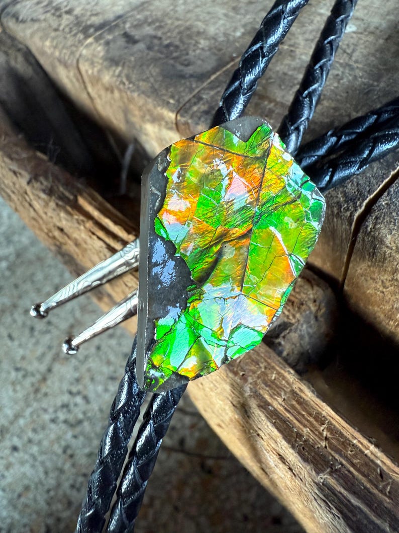 Ammolite Bolo Tie. Rare, Opalized Canadian Ammonite Western Tie. Stone ...