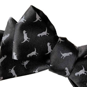 T-rex Bow Tie. Archeologist Gift. Tiny Dinosaur Bow Tie T-rex Tie ...
