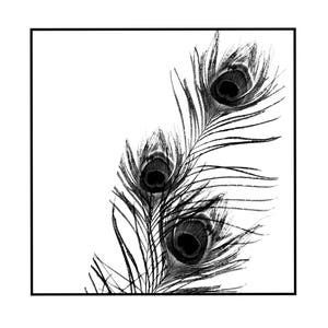 Peacock Feather Pocket Square. Silkscreened Handkerchief. Microfiber ...