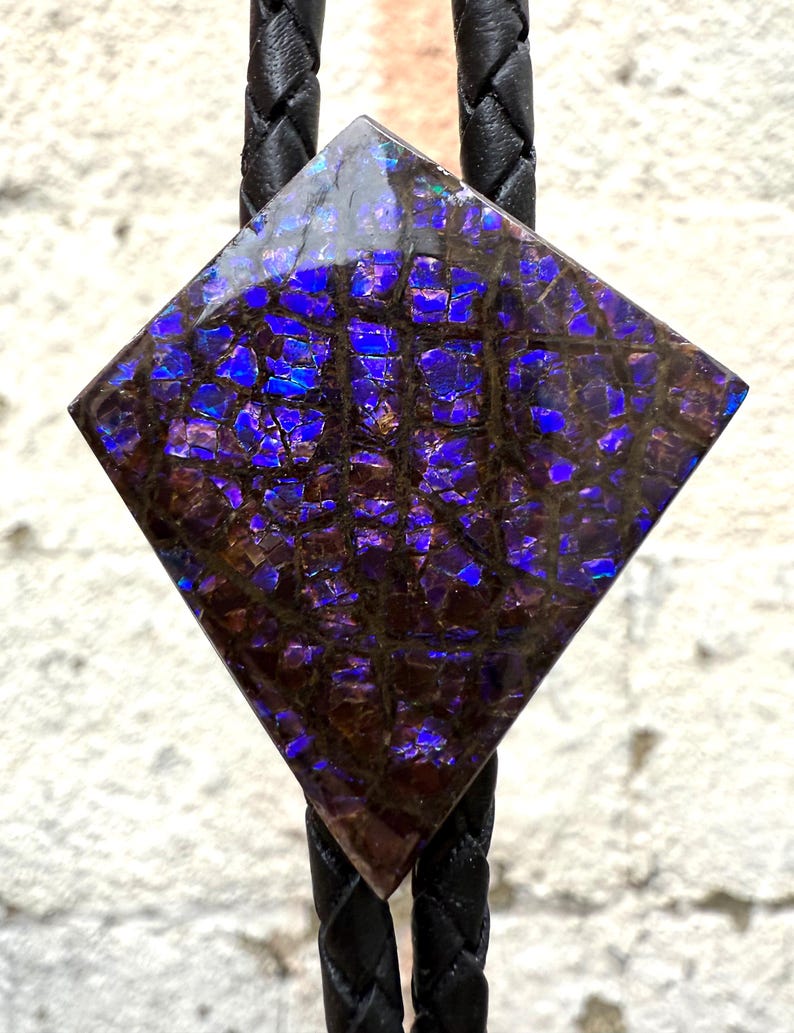 Ammolite Bolo Tie. Rare, Opalized Canadian Ammonite Western Tie. Stone ...