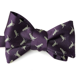 T-rex Bow Tie. Archeologist Gift. Tiny Dinosaur Bow Tie T-rex Tie ...