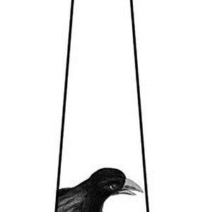 Raven Necktie. Black Bird, Crow Tie. Edgar Allan Poe Gift. Goth Wedding ...