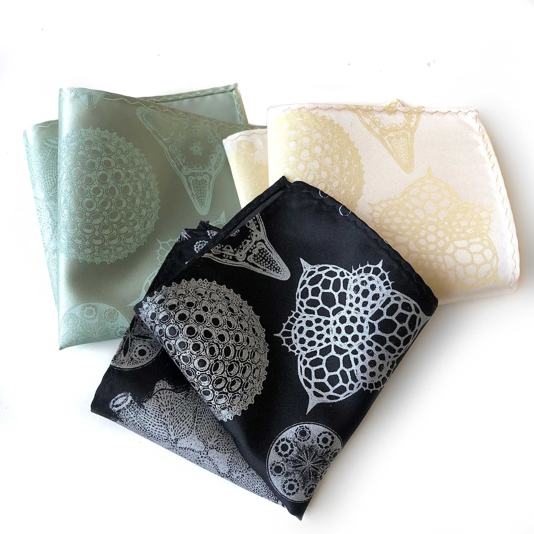 Diatom Pocket Square, Diatoms Botanical Print Hanky. Nerd Wedding ...