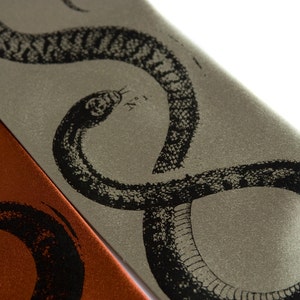 Snake Necktie. Reptile Tie Snake Tie Men's Necktie. Zoology Herpetology ...