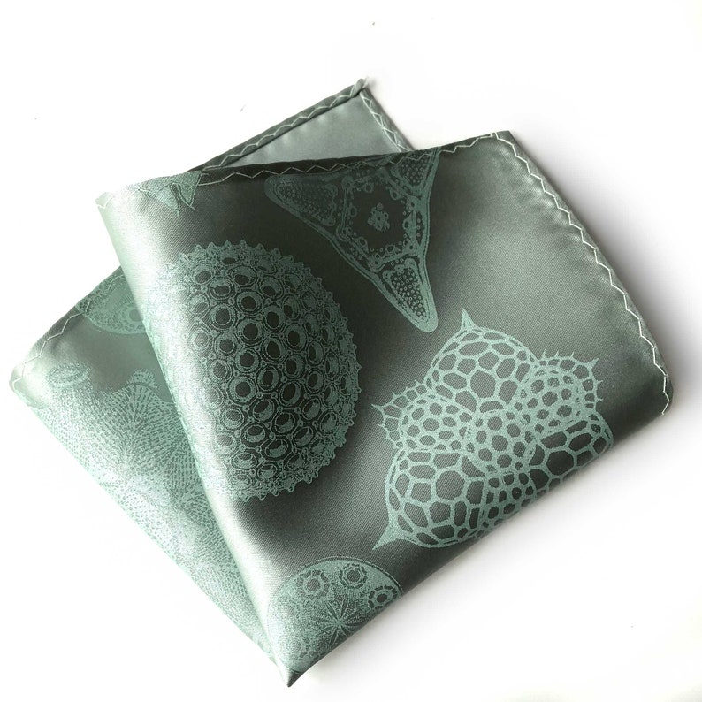 Diatom Pocket Square, Diatoms Botanical Print Hanky. Nerd Wedding ...