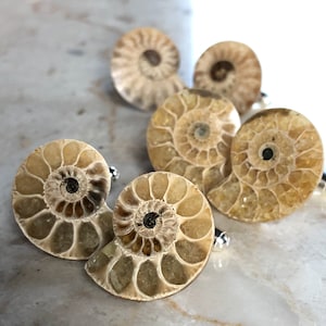 Ammonite Fossil Cufflinks. Golden Ratio, Men's Cufflinks. for Dad, Gift ...