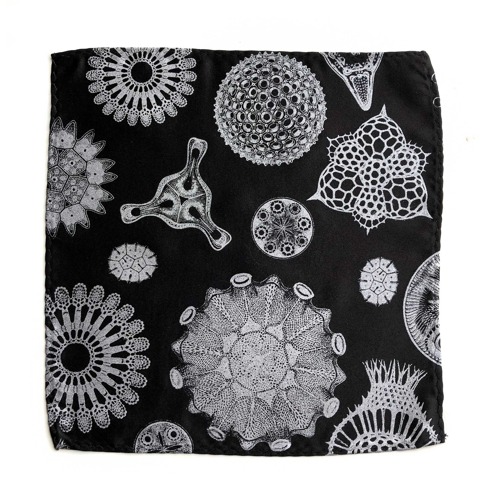 Diatom Pocket Square, Diatoms Botanical Print Hanky. Nerd Wedding ...