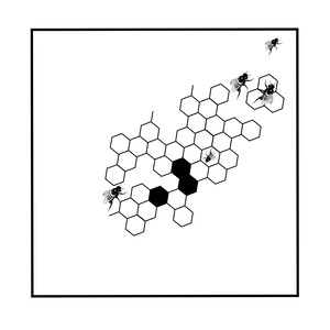 Honey Bee Pocket Square. Bee Hive, Honeycomb, Men's Handkerchief ...