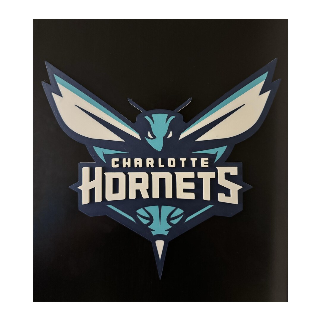 Charlotte Hornets Sign With Raised Letters - Etsy