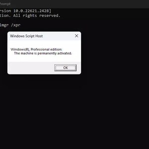 Microsoft Windows 11 Professional 24H2 64-bit DVD or USB Clean Install ...