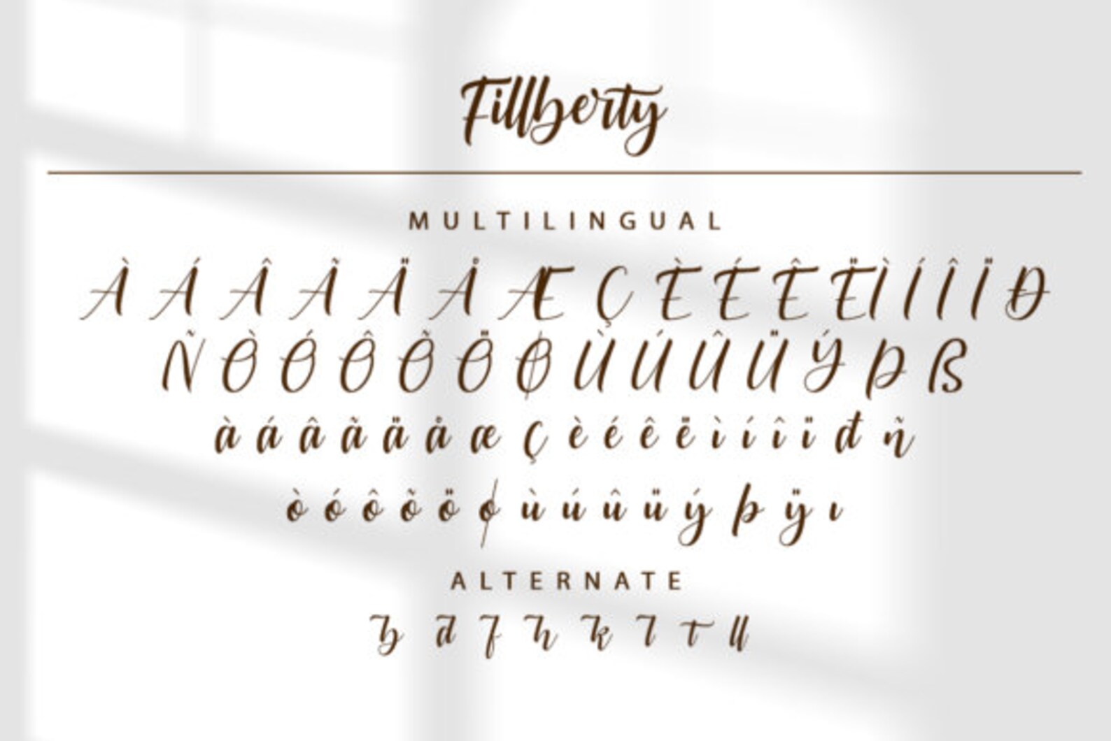 Fillberty Brush Font, Retro Script Font, Chunky Font, Modern ...