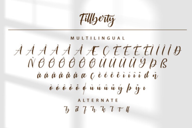 Fillberty Brush Font, Retro Script Font, Chunky Font, Modern ...