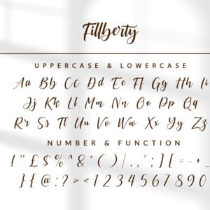 Fillberty Brush Font, Retro Script Font, Chunky Font, Modern ...