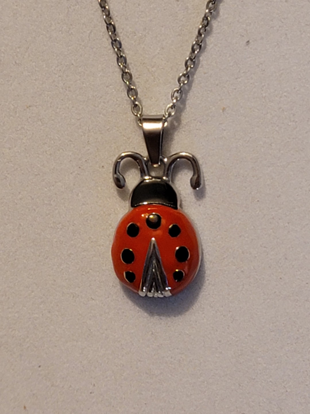 Red Ladybug Stainless Steel Cremation Urn Necklace - Memorial Jewelry ...