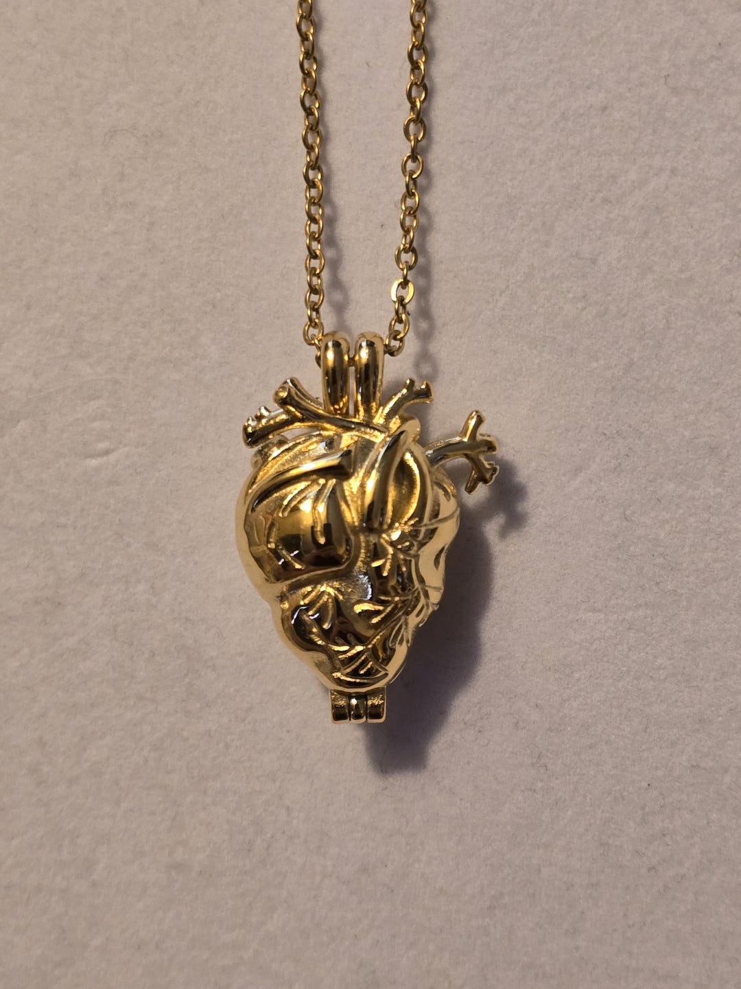 Gold Anatomical Heart Cremation Urn Necklace - Stainless Steel Locket ...