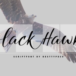 Black Hawk Font, Luxury Font, Cricut Font, Casual Font, Modern Font ...