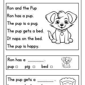 80 CVC Reading Passages for Beginners | Homeschool Reading Material ...