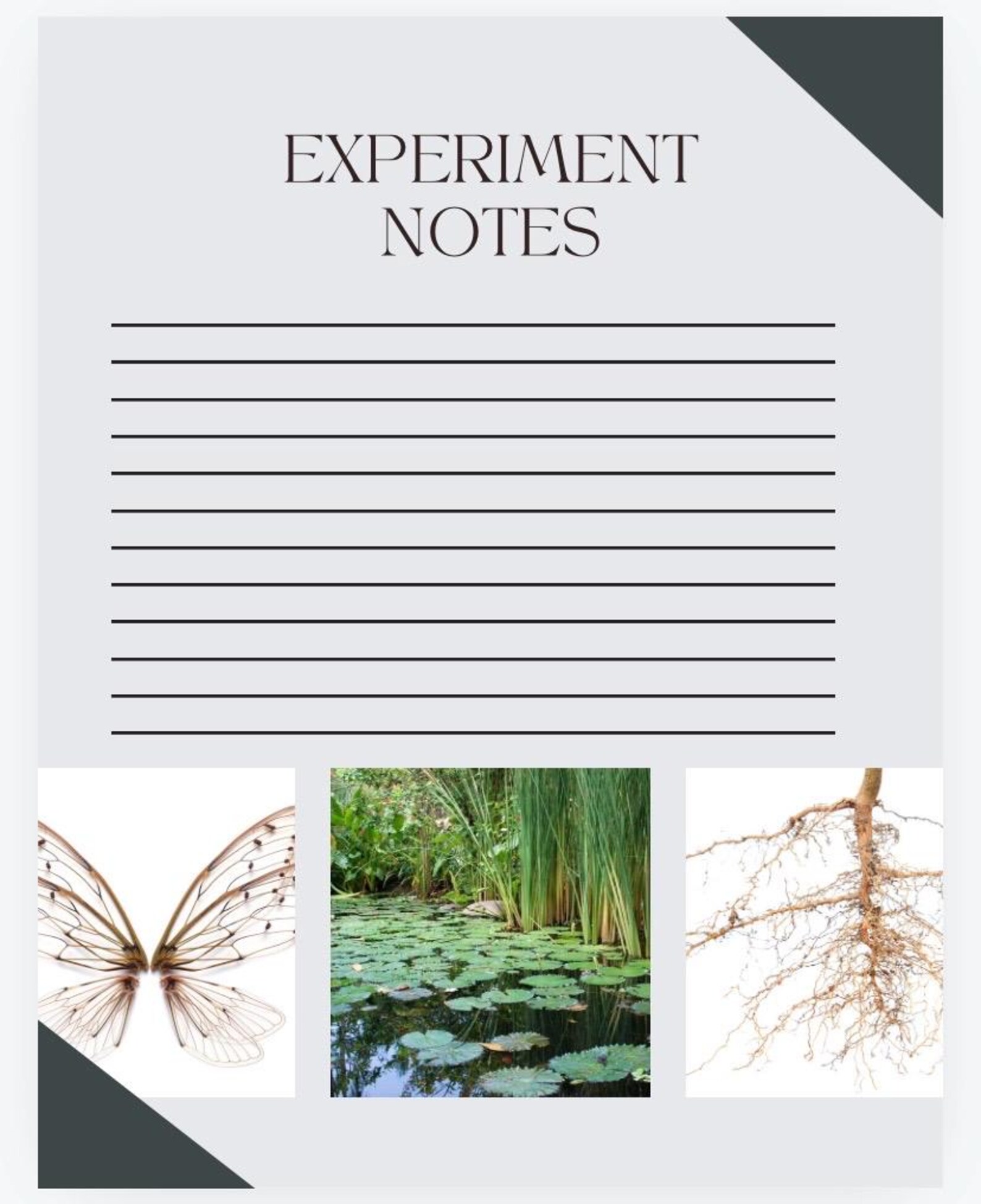 Microscope Guide, Printable Science Learning Material - Etsy