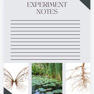 Microscope Guide, Printable Science Learning Material - Etsy