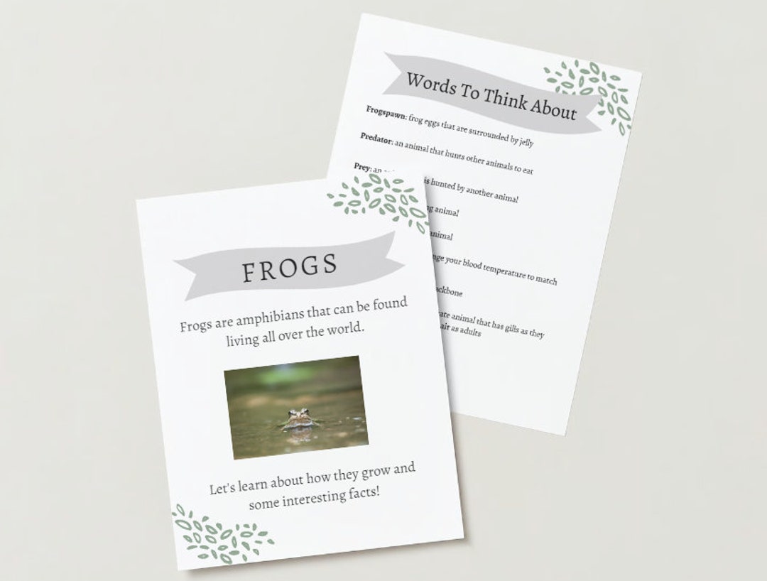 Frog Guide and Worksheet, Lifecycle of a Frog, Printable - Etsy