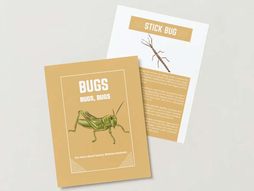 Bug Unit Guide, Printable Bug Learning Material - Etsy