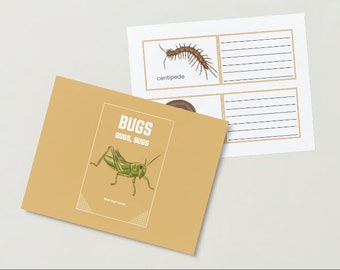 Bug Worksheets, Fill-in Fact Cards, Bug Activity Sheets, Printable - Etsy